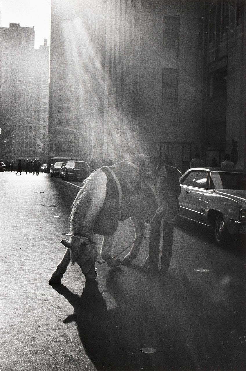 LOUIS STETTNER (1922–2016) - Horse and Cowboy, Rockefeller Center, New ...
