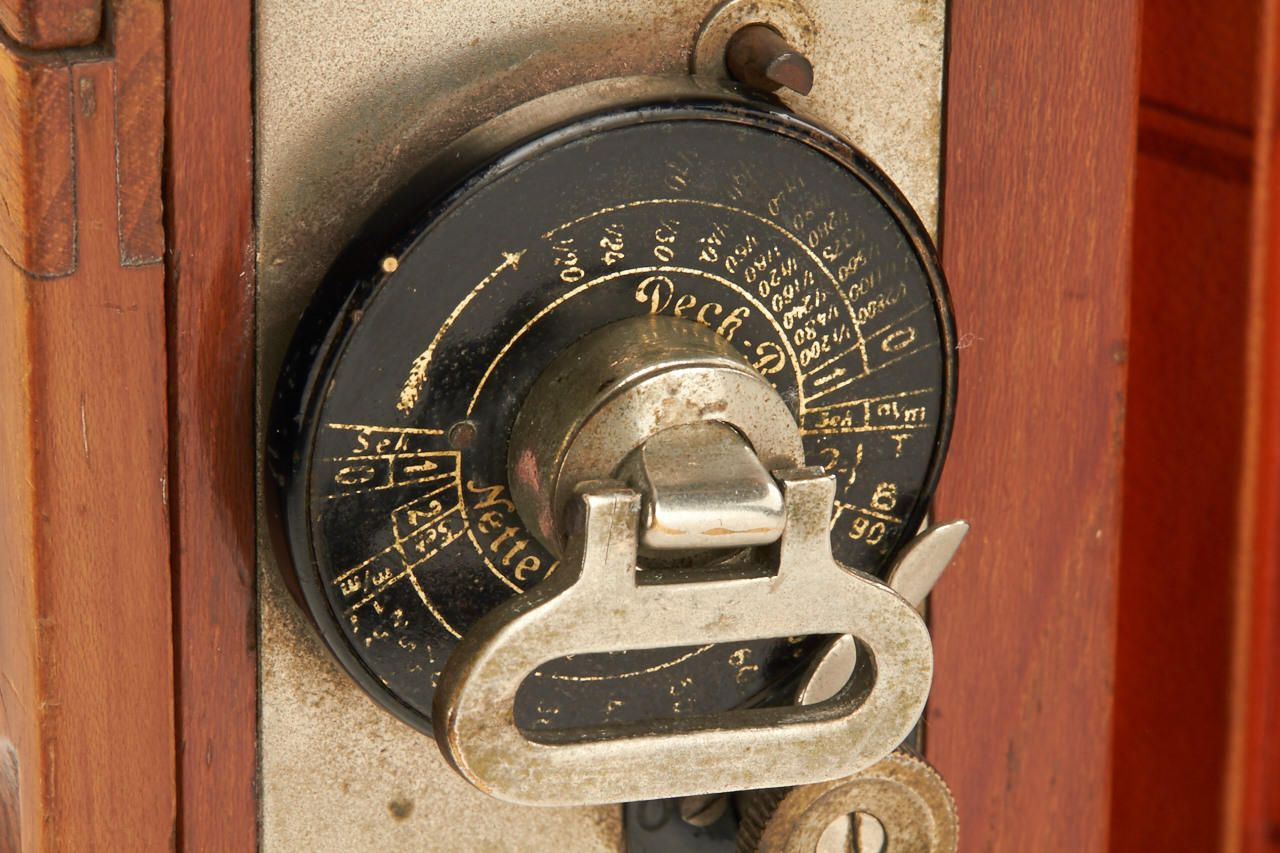 Contessa Nettel Deckrullo Tropical | AI_28_33004